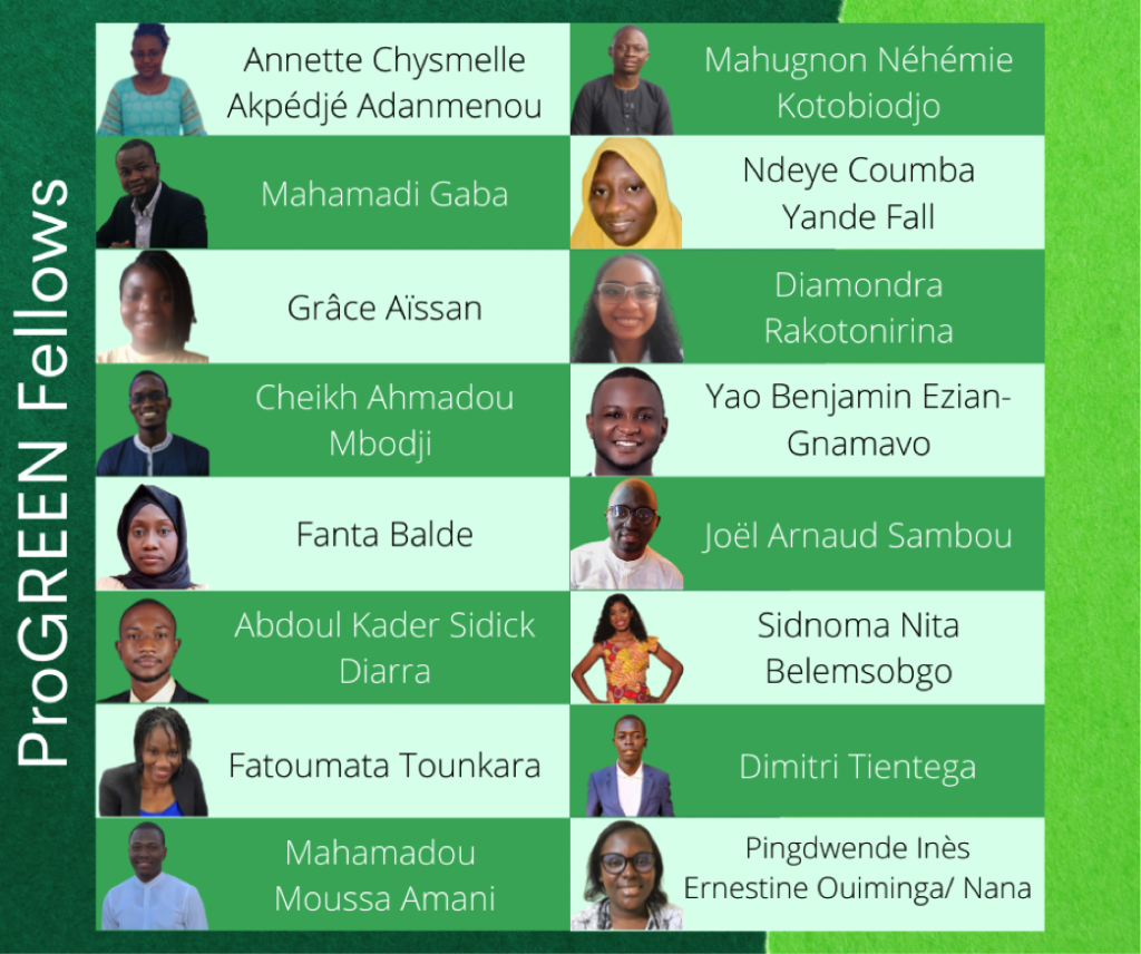 Introducing the 2022 ProGREEN Leadership Fellows – START